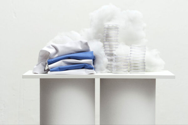 Algodão de laboratório da Galy atrai investimento da Inditex • GBLJeans